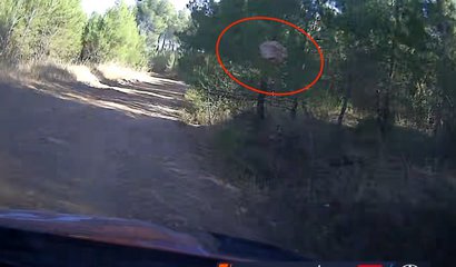 Απίστευτο, κι όμως αληθινό: Θεατής πέταξε πέτρα σε αγωνιστικό στο ΕΚΟ ...